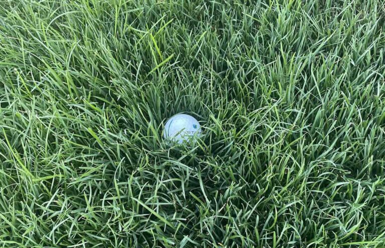 How to Find a Lost Golf Ball - Birdies Up